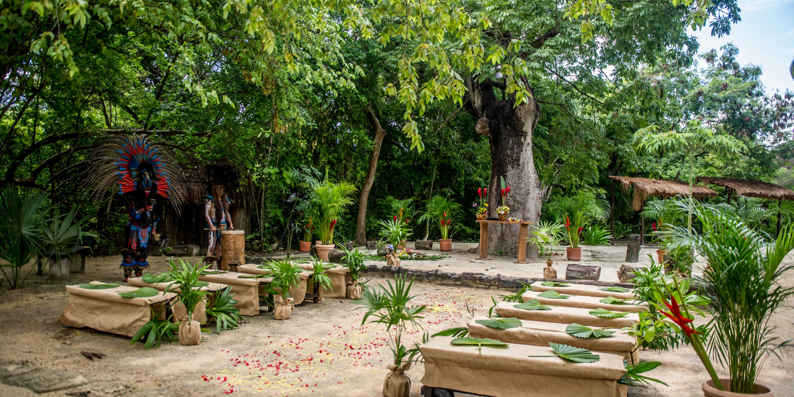 La Ceiba - Kapok Tree wedding venue in Sandos Caracol Eco Resort - Mexico