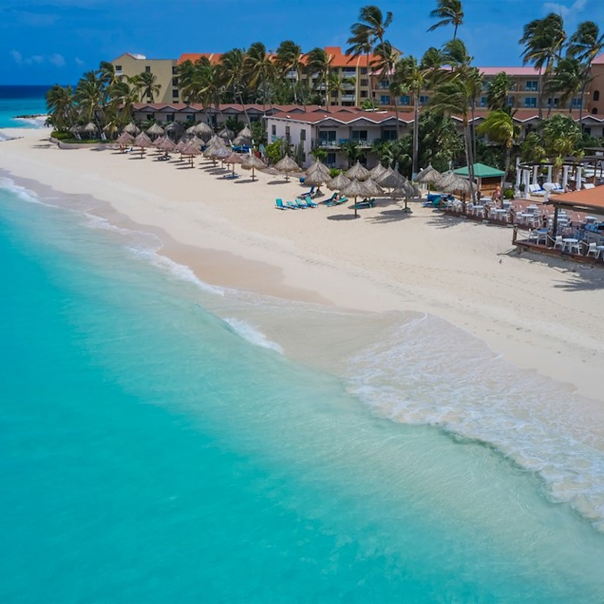 Divi Aruba ️ Destination Weddings - Destify