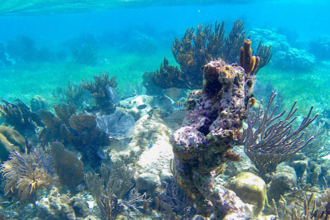 Our Honest Guide for First-Time Travelers to Cancun | Destify